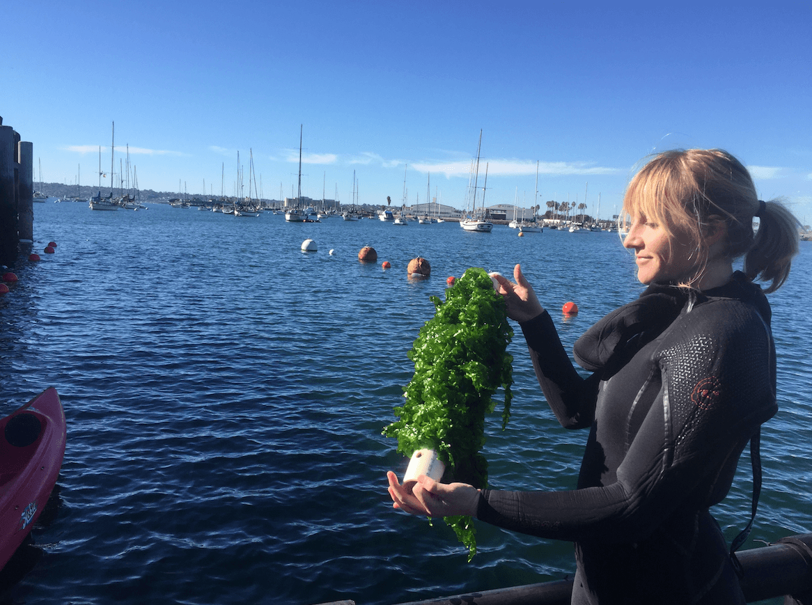 WPSP Award finalists in Governance & Ethics category to be announced at ...