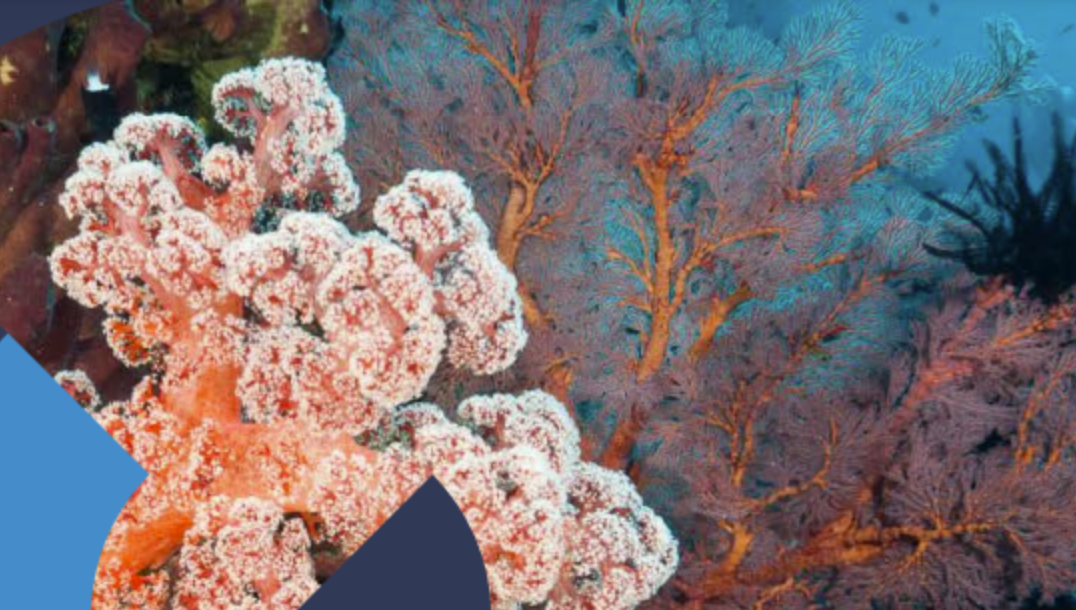 AD Ports group - Sustainable Development Goals Champions Initiative ...