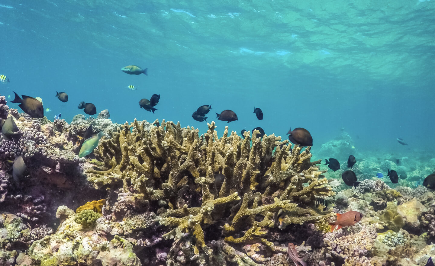 AD Ports Group - Clean Waters, Safe Harbors - World Port Sustainability ...